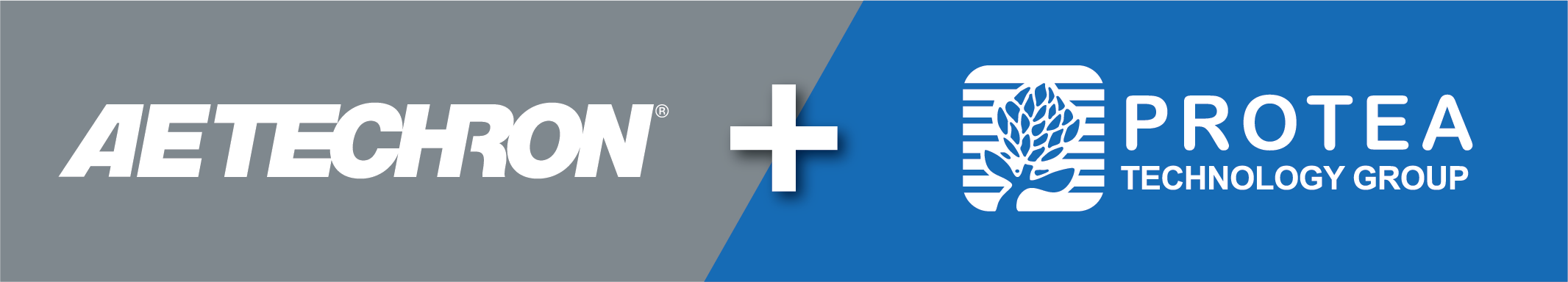 Protea Technology Group Added as Distributor in Southern Africa - AE Techron